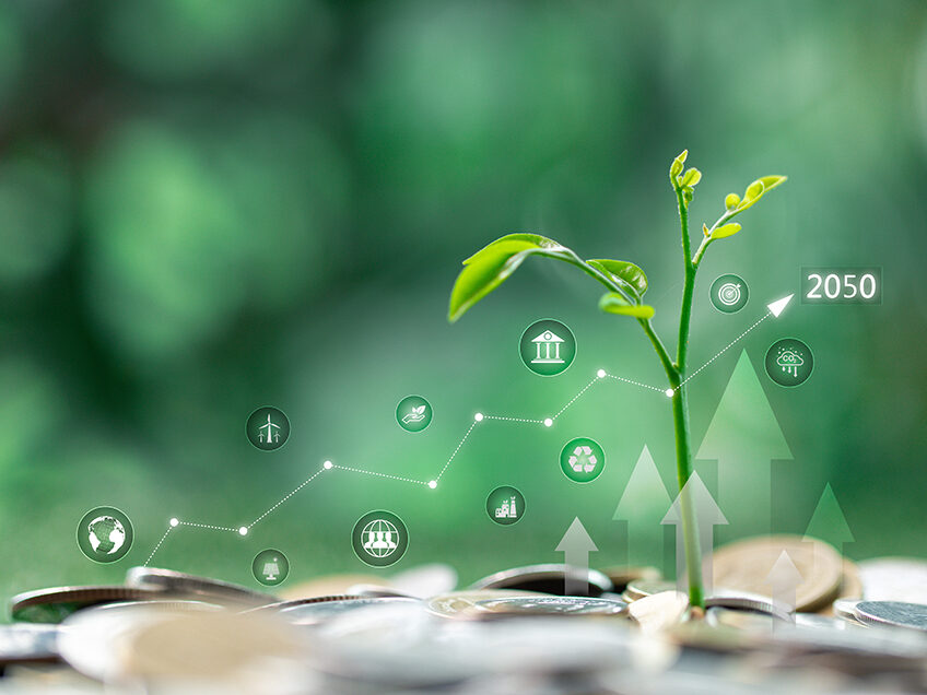 Provectus Biofuels