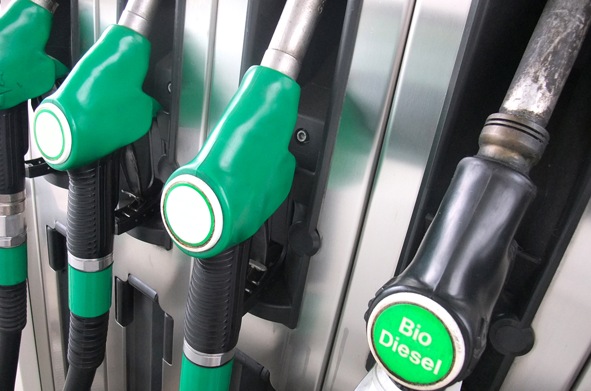 Renewable diesel heads for top spot – Provectus Biofuels